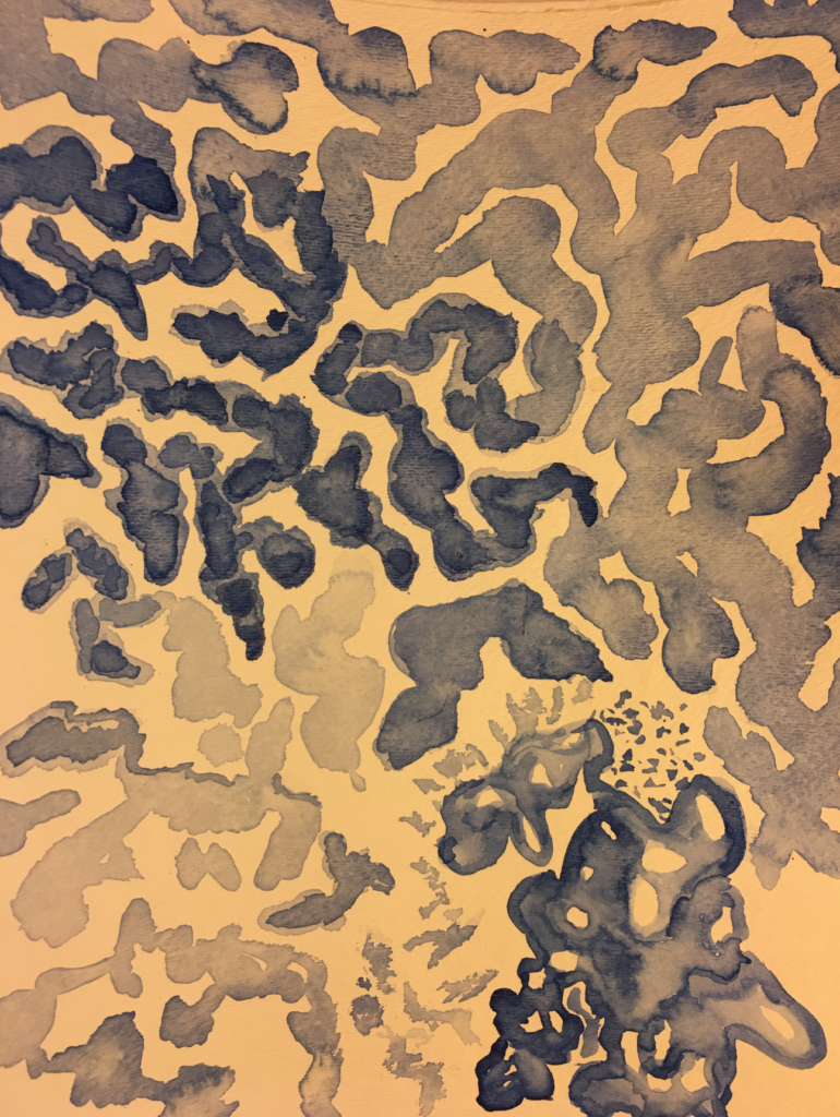 Susan Lang – Artist, Oil Painter, 1953